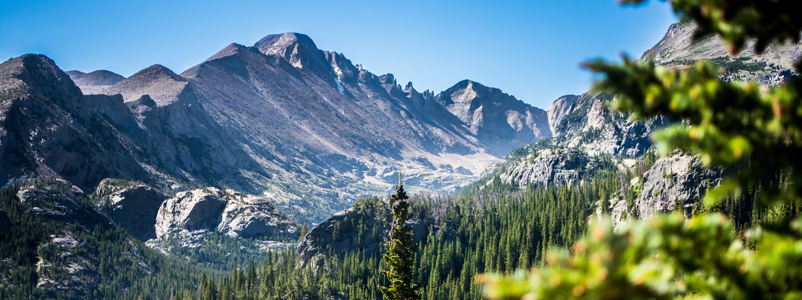 The ultimate guide to working farm holidays – Kamihingo Farm